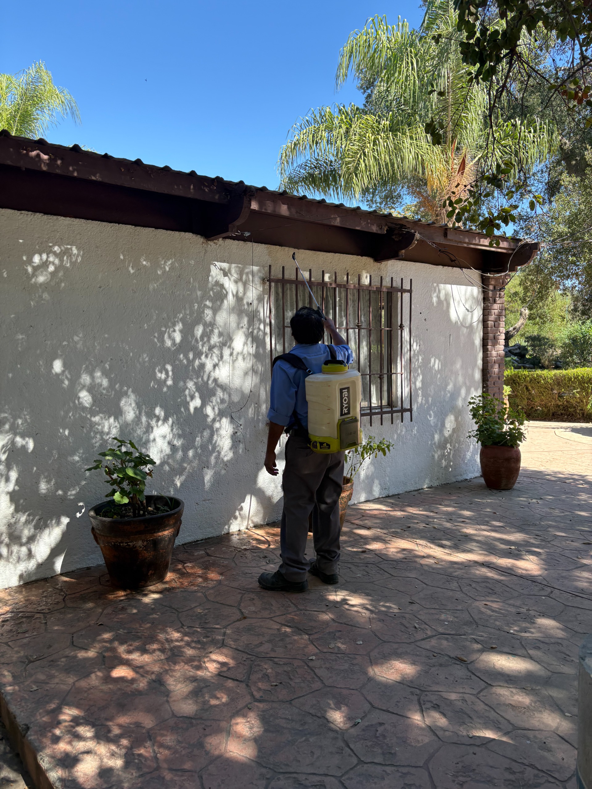 Inicia SIMPATE Jornada de fumigación en el Parque los Encinos - El Portavoz